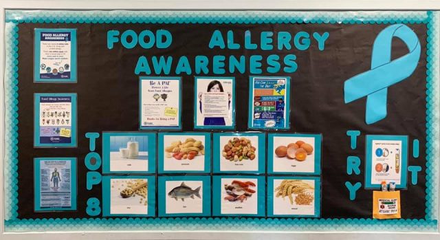 FOOD ALLERGY AWARENESS POSTER BOARD - ALLERGIC PRINCESS